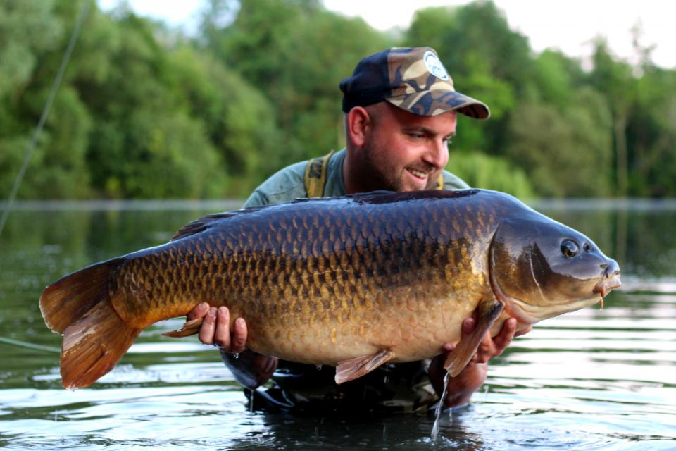 Square Tail 38lb 15oz Common | Total Carp